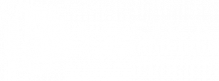 Expertise - Losika Consulting